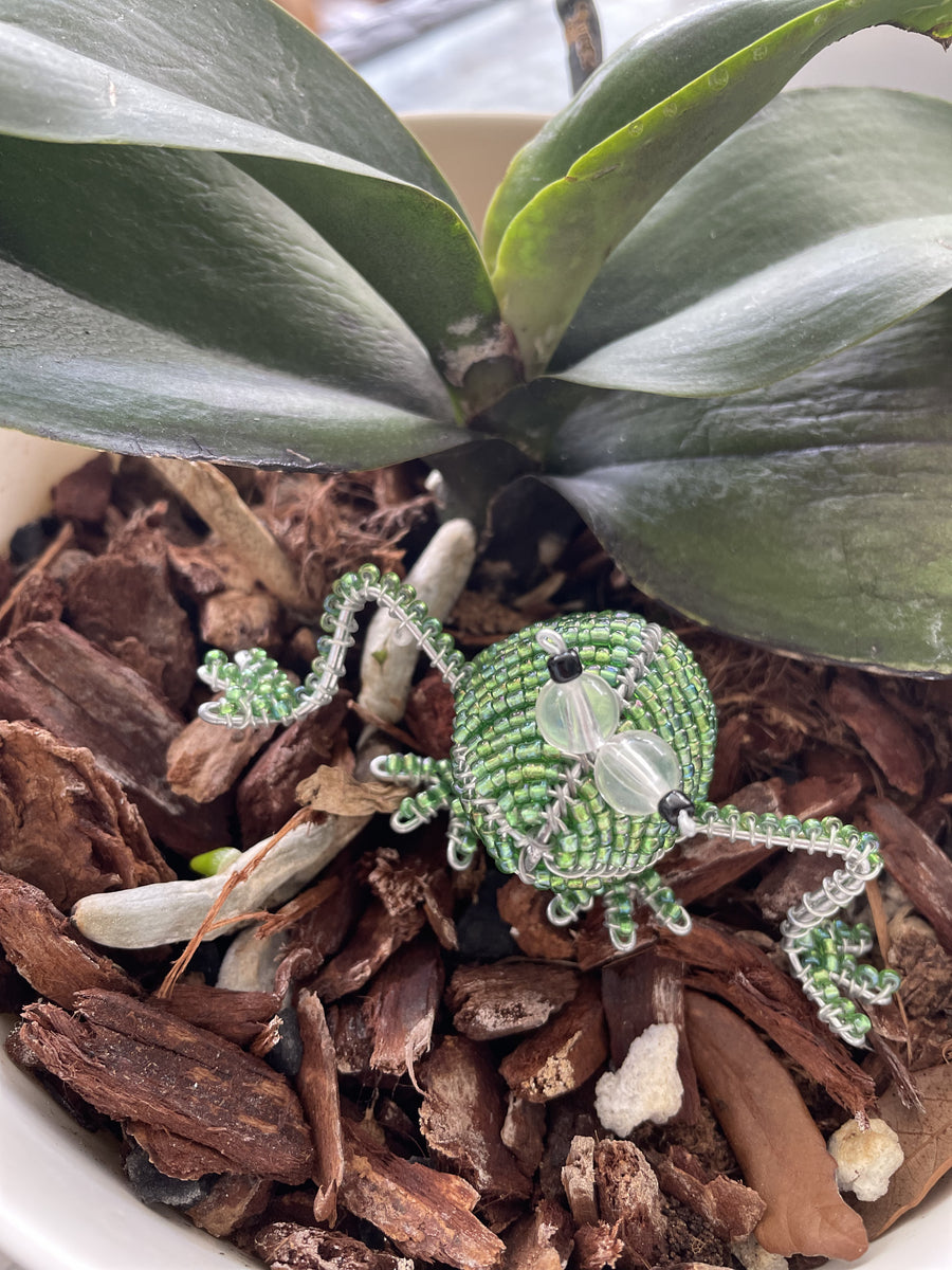 Shop Minimals at Extol Wholesale | Extol Wholesale